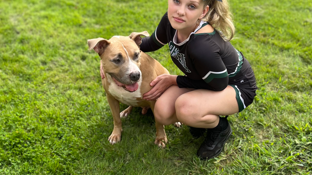 GiveSendGo | Comfort for Kayleigh