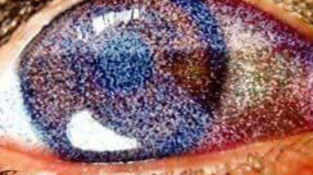 GiveSendGo - : The Leader in Freedom Fundraising.