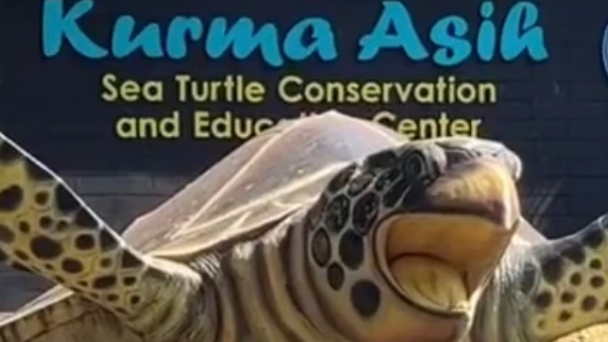 GiveSendGo - Supporting Kurma Asih Turtle Conservation Centre: The ...