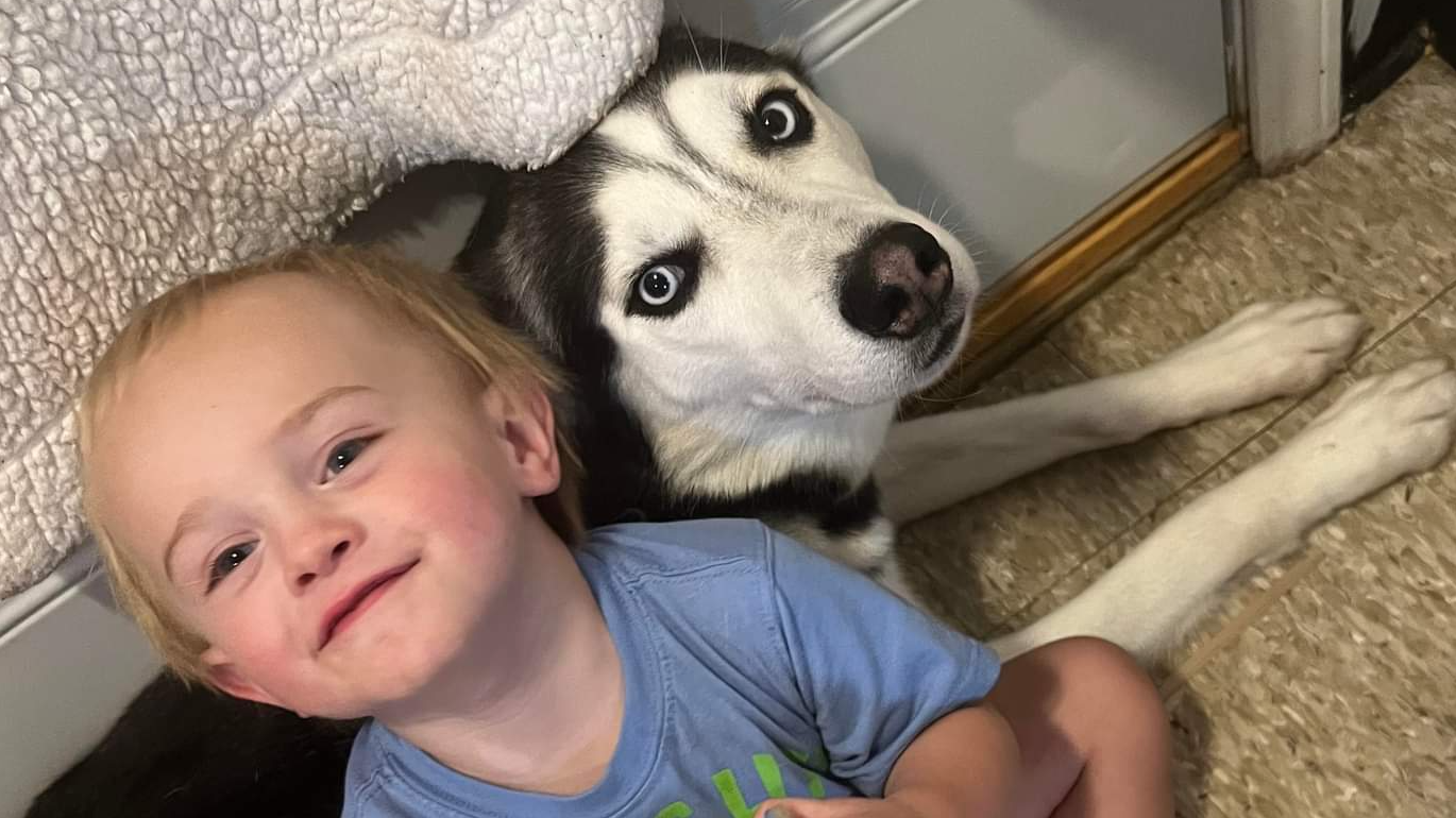 GiveSendGo - Helping the Trimble family: The #1 Free Christian ...